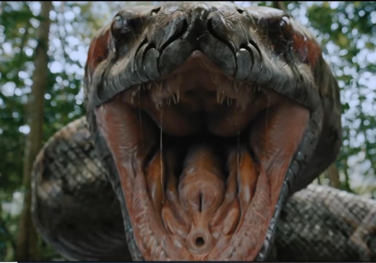 Selton Mello e seu retorno à cena internacional no novo filme da ...