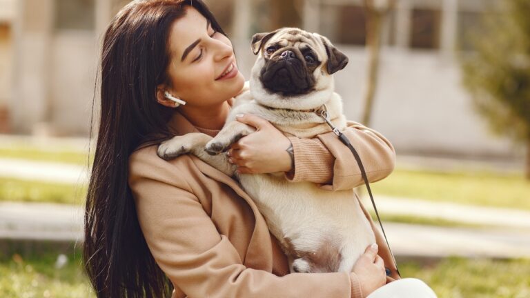 Olhos marcantes e focinho achatado: saiba tudo sobre a raça pug ...